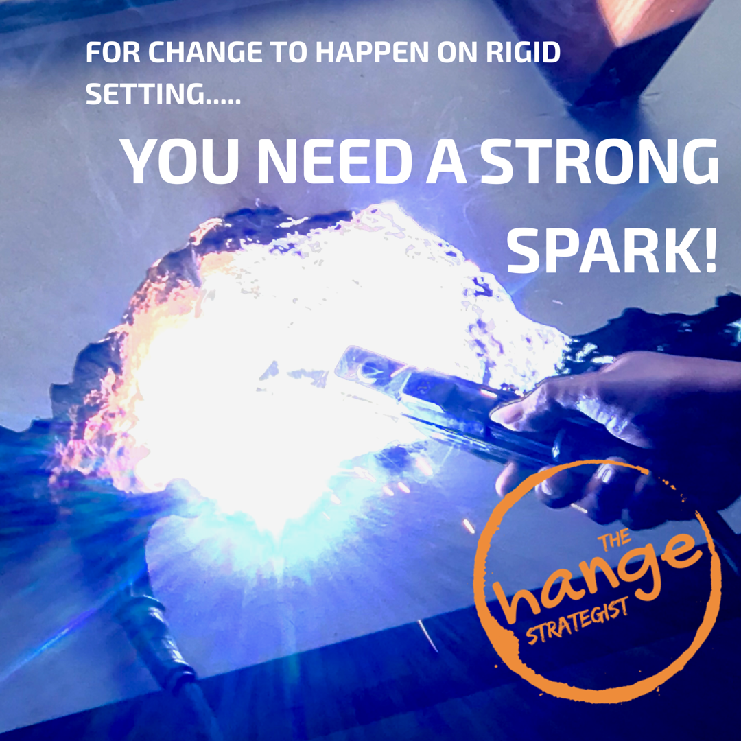 Strong spark – the Change Strategist
